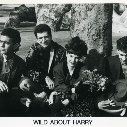 Stream Room Enough For Two by Bill DeMain | Listen online for free on ...