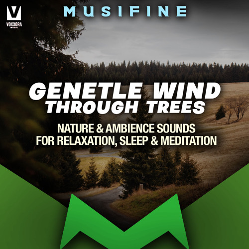 Stream Gentle Wind Through Trees (Nature & Ambience Sounds for ...