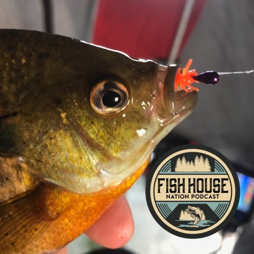 Stream episode Panfish Management In Minnesota - Fish House Nation ...