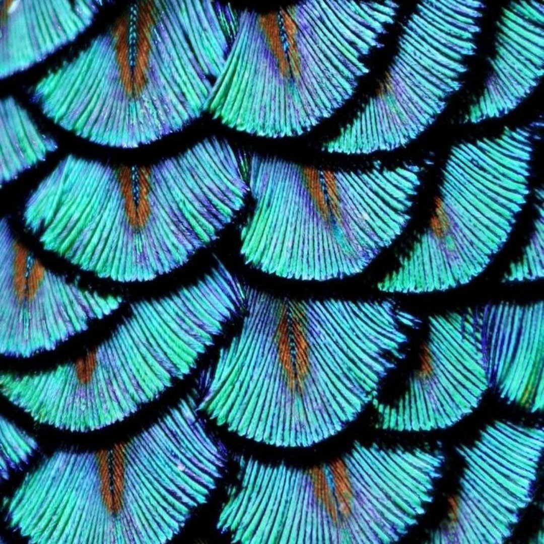 Stream ILLUSTRATIONS (Progressive House 3) GC, Aus by Mateo Cremaschi ...