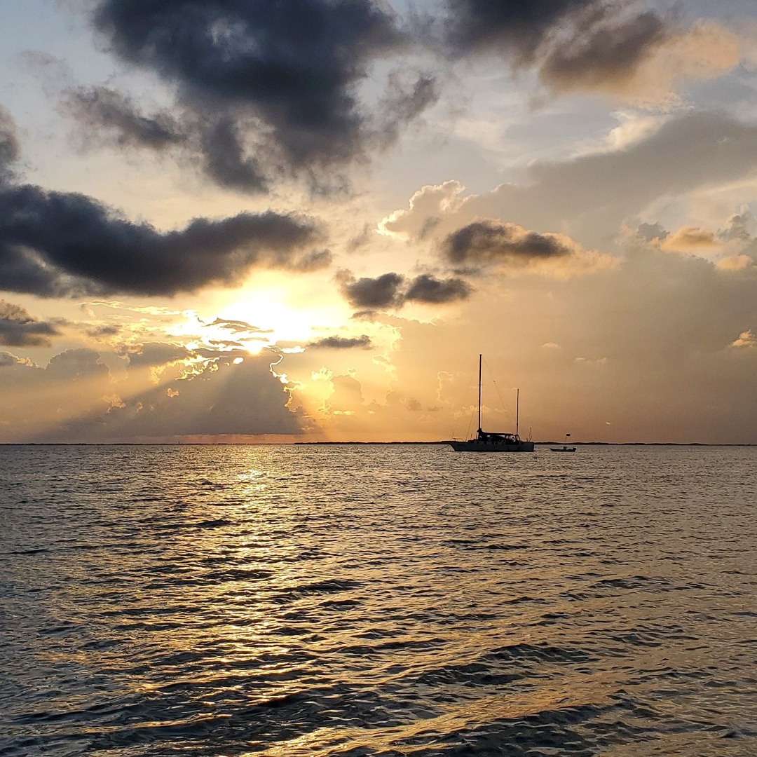 Stream gub two | Listen to Why so Feinious? playlist online for free on ...