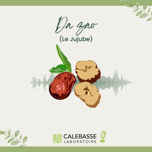 Stream Da zao - Le Jujube by labocalebasse | Listen online for free on ...