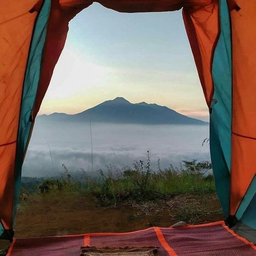 Stream ألا حبذا من أرض نجد نُسيمة by حبيبة | Listen online for free on ...