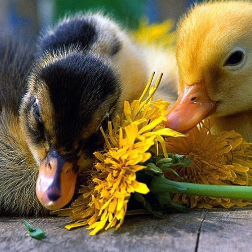 Stream Consistency Impromptu by tahutoa | Listen online for free on ...