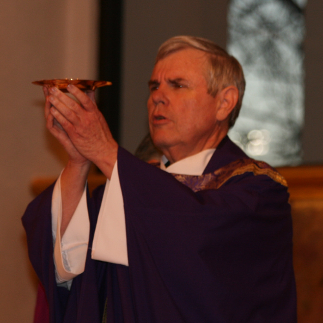 Stream From Lawyer to Catholic Priest: Monsignor John Lyons by Diocese ...