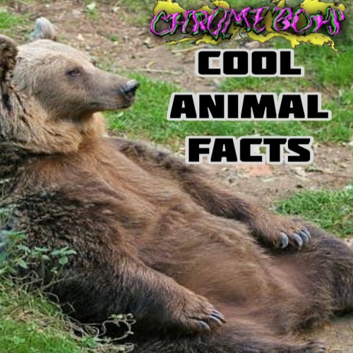 Stream 52: Cool Animal Facts (teaser) by Chrome Boys | Listen online ...