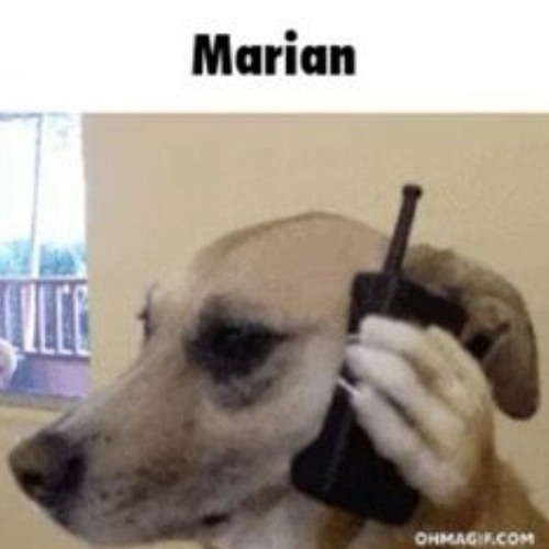 Marian Meme
