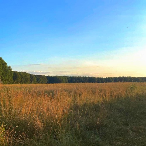 Stream Walk by daniel.mp3 | Listen online for free on SoundCloud