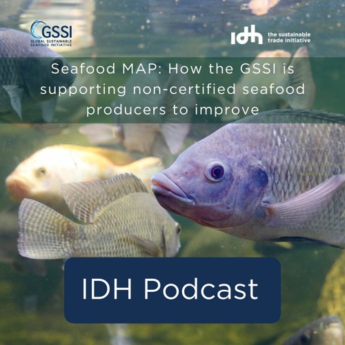 Stream Seafood MAP: How GSSI is supporting non-certified seafood ...