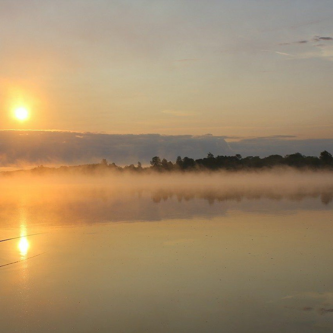 Stream Shimmering (Creative Commons) free to use wheather channel loop ...