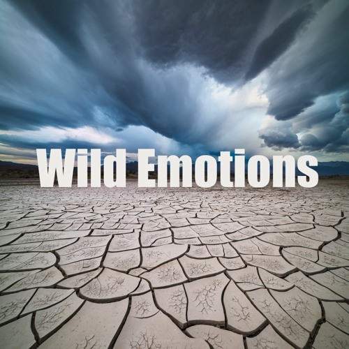 Stream Wild Emotions by Peter Torda | Listen online for free on SoundCloud