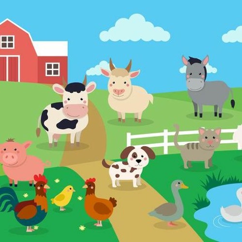 Stream #GabineteInclasificable | El Guinnes, pilates y animales de la ...