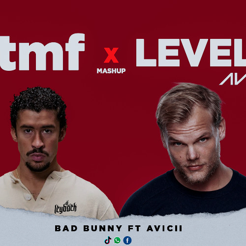 Stream Bad Bunny Ft Avicii - DTMF x LEVELS (Remix House) by LeyBack Dj ...