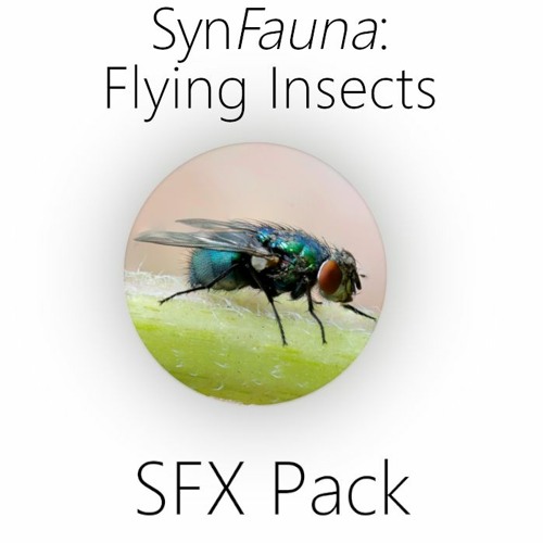 Stream SynFauna: Flying Insects - SFX Pack Demo by Sound Armoury | Listen online for free on ...