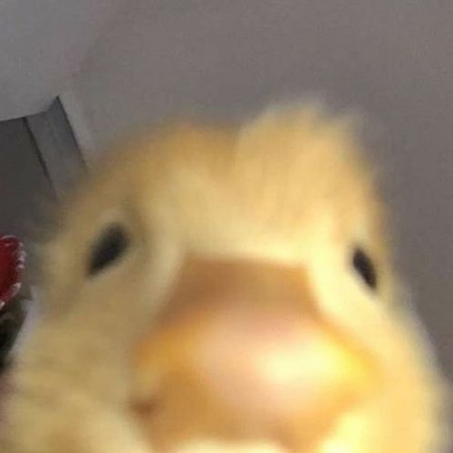 Stream Plentiful Fun by Aden Mayo | Listen online for free on SoundCloud