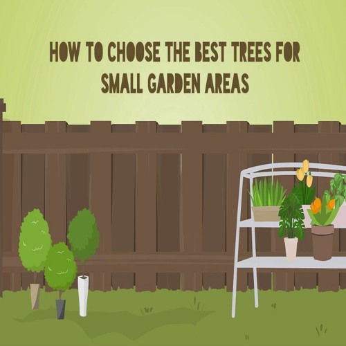 Stream How To Choose The Best Trees For Small Garden Areas from Aurora ...