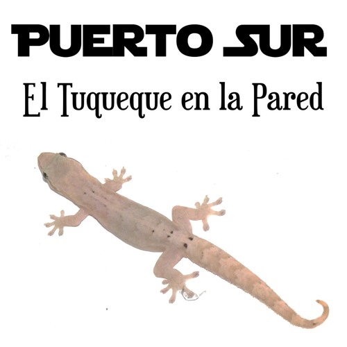 Stream El Tuqueque En La Pared by Puerto Sur | Listen online for free ...