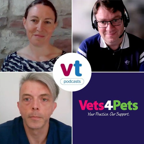 Stream Vet Times Extra: Gudrun Ravetz and Dan Makin on well-being and ...