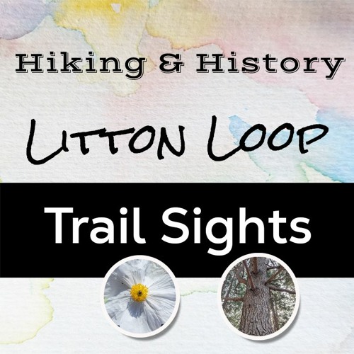 Stream Sierra College, Litton Trail Loop, Narrated Sights Map by Self ...