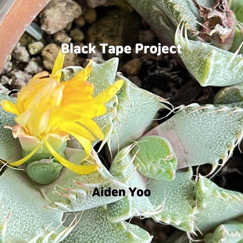 Stream Black Tape Project by Aiden Yoo | Listen online for free on ...