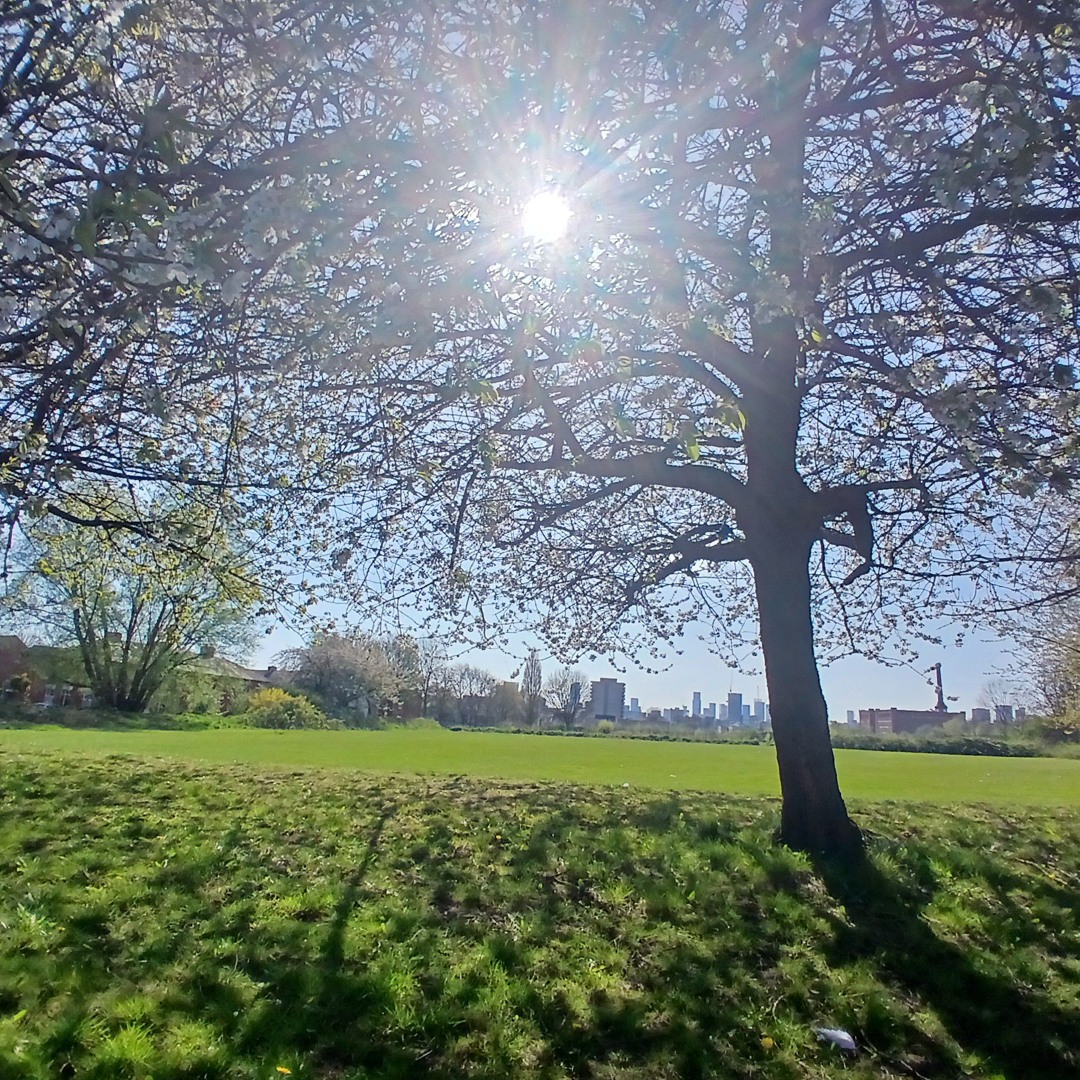 Stream | Listen to Wizard 🎩🪄 playlist online for free on SoundCloud