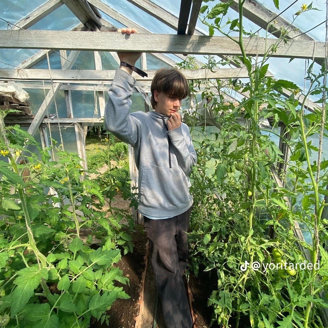 Stream saulyte | Listen to chill playlist online for free on SoundCloud