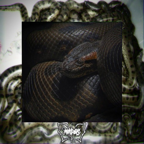 Stream king slime snake by Lord Hades | Listen online for free on ...