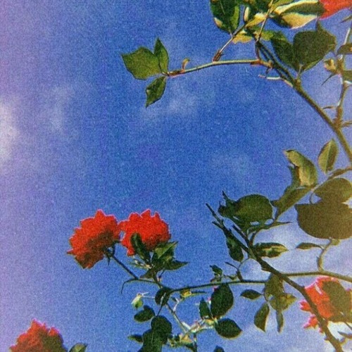 Stream prod. Lvnce | Listen to "rain" playlist online for free on ...