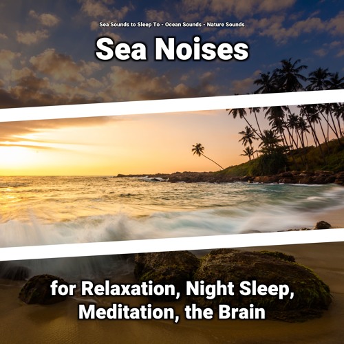 Stream Beach Waves Sound Effect to Slow Your Thoughts by Nature Sounds ...