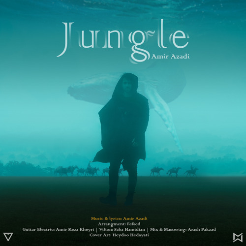 Stream Amir Azadi Jungle by Amir Azadi | Listen online for free on ...