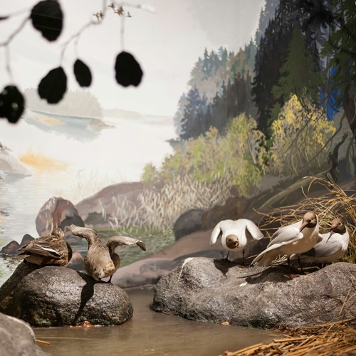 Stream episode Diorama 9: Sydfinsk sjöstrand på sensommaren by Turun ...