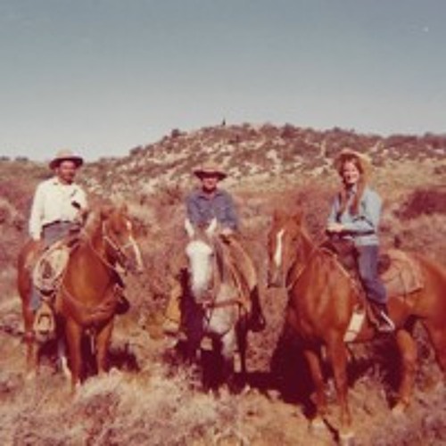 Stream 13 - Billy Venero - Hank Sr by plumbingfactory | Listen online ...