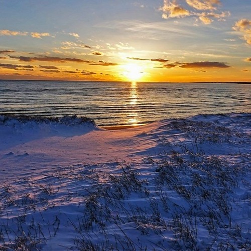 Stream It Rained Last Night (v3) by LarryD/PocketDog | Listen online ...