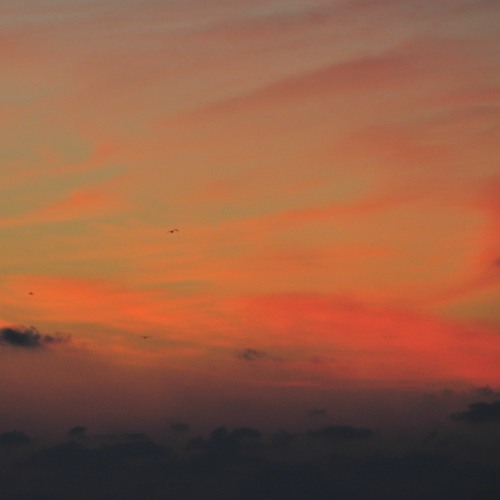 Stream Blinding Lights Acoustic Cover by Alyssa Johnson | Listen online ...