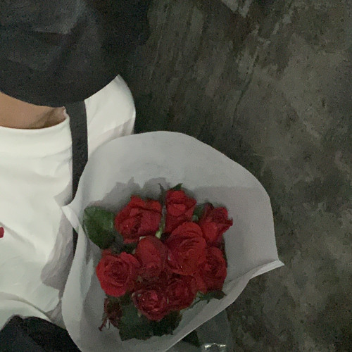 Stream Girl Hải Phòng(Girl Hà Nội Openverse)-ICY RIX by ICY RIX ...