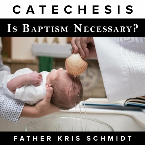 Stream Is Baptism Necessary? | Catechesis by Fr. Kris Schmidt Homilies ...