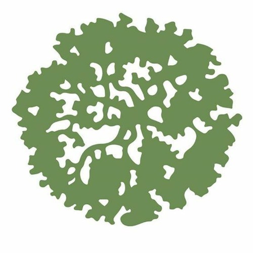 Stream episode Audio Selva by Felipe Alvarado S podcast | Listen online ...