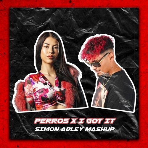 Stream Elilluminari VS ANNA - PERROS X I GOT IT (SIMON ADLEY MASHUP) by ...