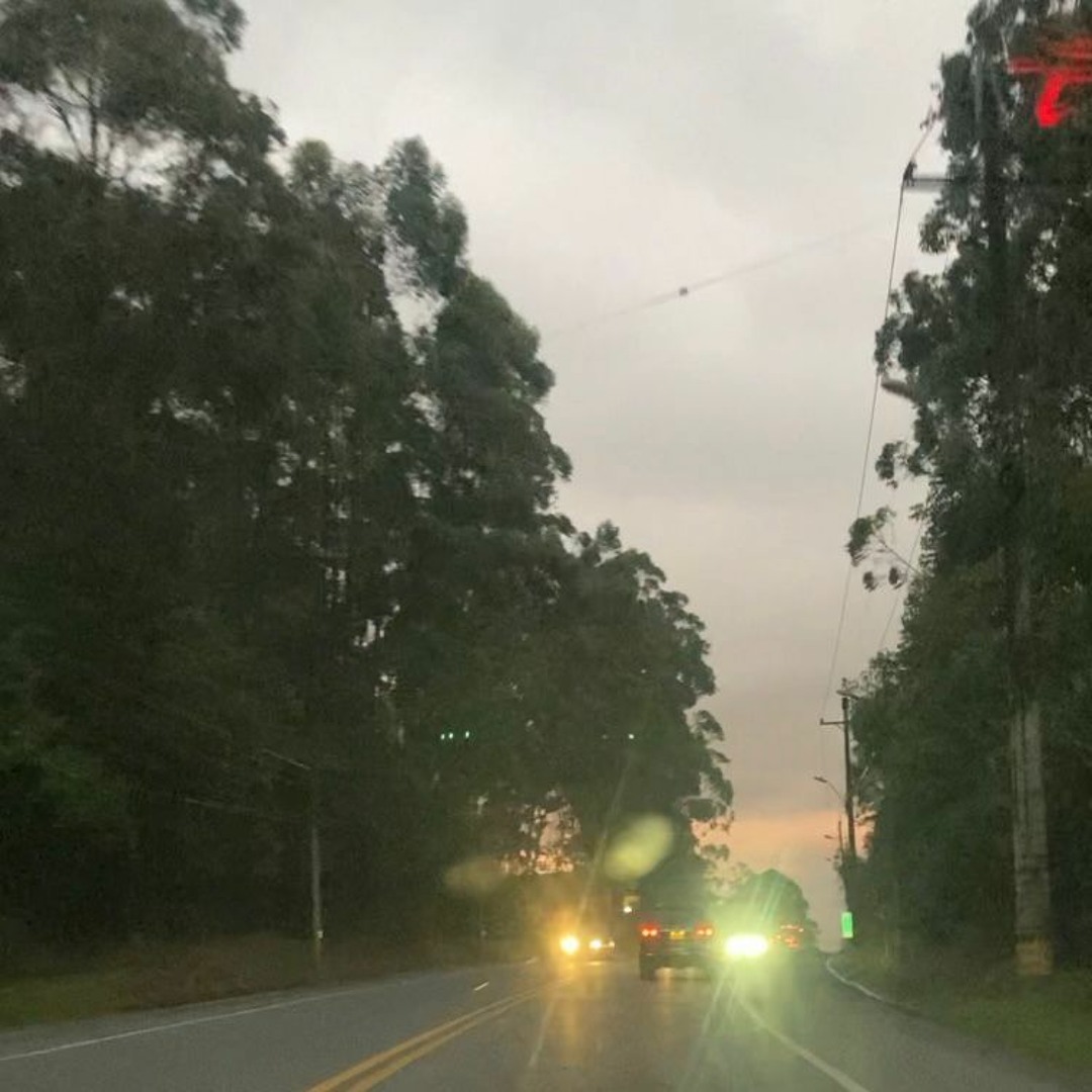 Stream Sesame Syrup (Cigarettes After Sex Cover) by JoseRestrepo ...