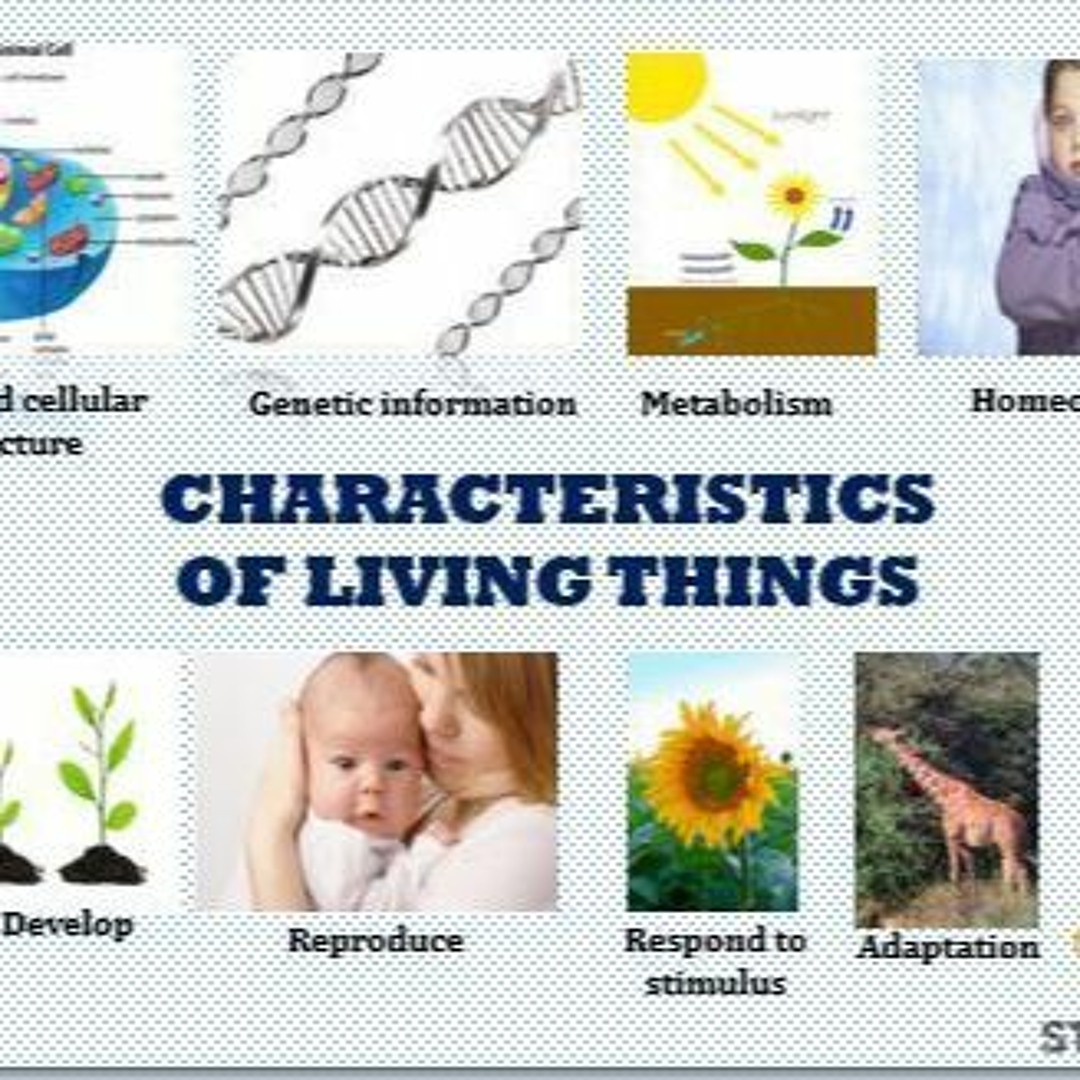 Stream eLunge online school | Listen to Grade 10 Biology: 1.1.3 ...
