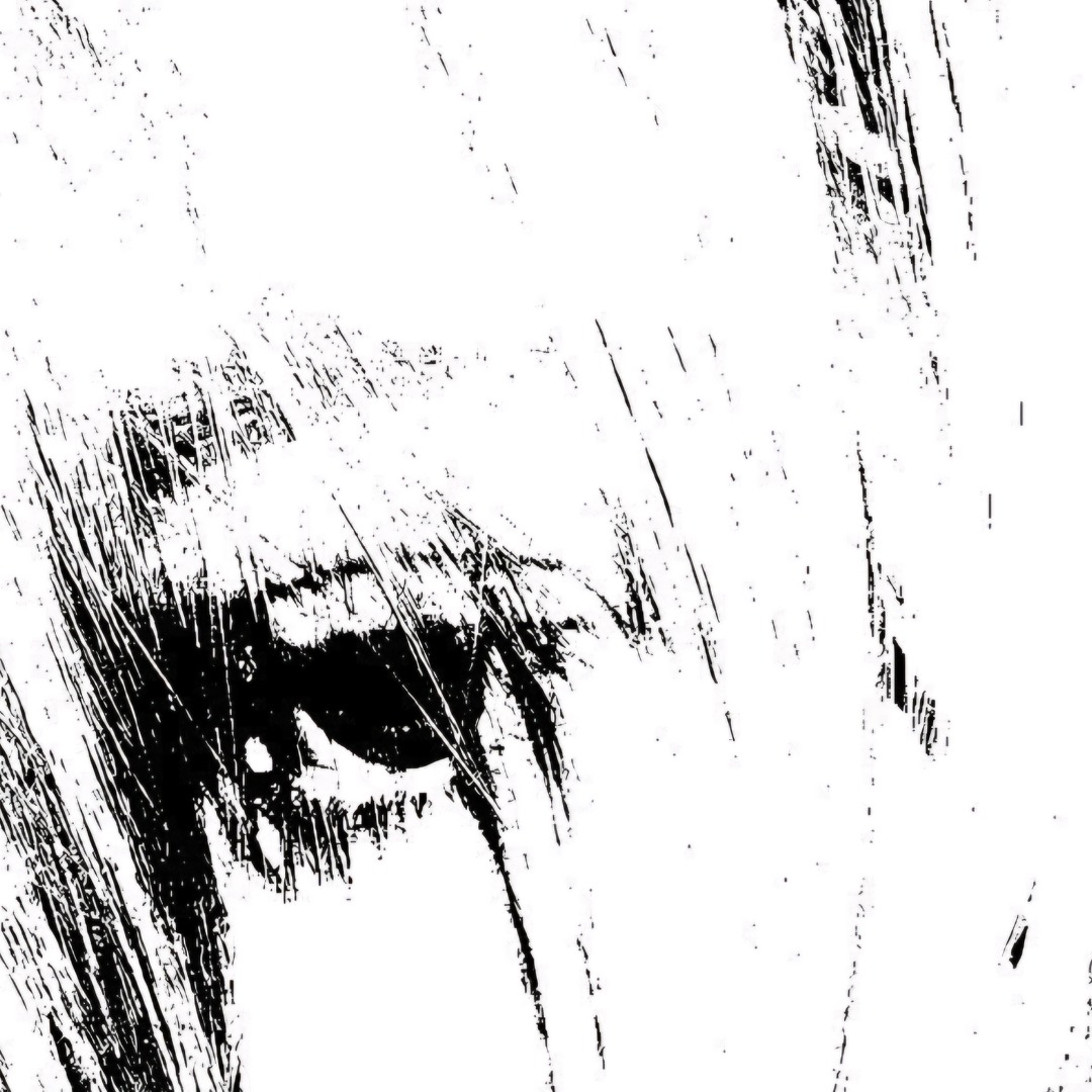 Stream 𝐋𝐢𝐟𝐞 𝐥𝐞𝐭𝐭𝐞𝐫𝐬 - BRZ (𝐇𝐚𝐫𝐝𝐬𝐭𝐲𝐥𝐞 𝐑𝐞𝐦𝐢𝐱) by BoBo | Listen online for ...