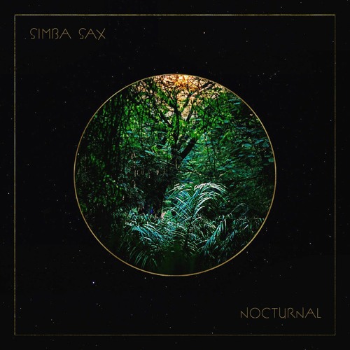 Simba Sax - Nocturnal :: Indie Shuffle