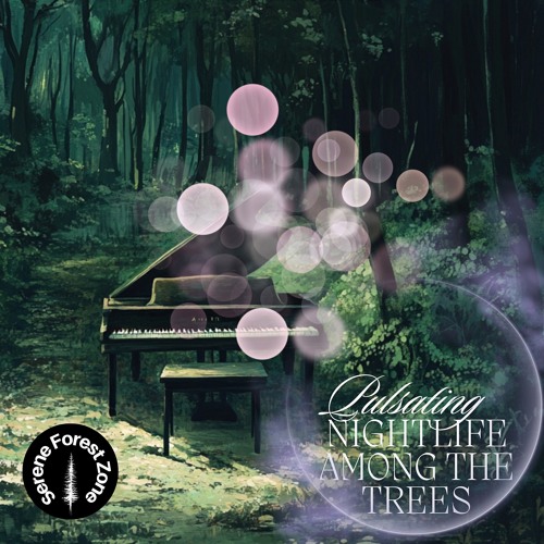 Stream Pulsating Nightlife Among the Trees by Serene Forest Zone ...