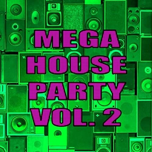 Stream PROJECT MEGA HOUSE PARTY 2022 VOL2 [ DJ.BLACKCAT ] by DJ ...