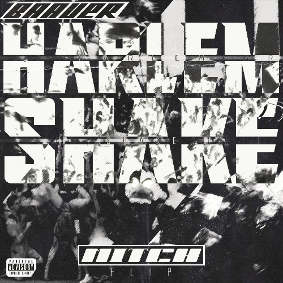 Stream Baauer - Harlem Shake (MITCH Flip) by MITCH | Listen online for ...