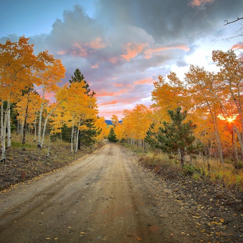 Stream better love - kamatayan & auxxi (Prod.siemspark) by kamatayan ...