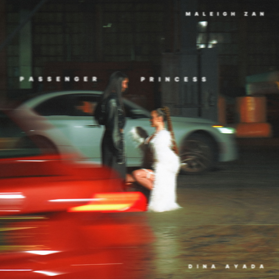 Stream Passenger Princess by Maleigh Zan | Listen online for free on ...