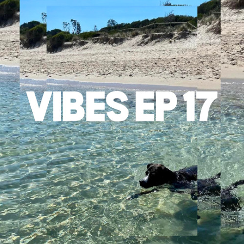 Stream Vibes Ep 17 by Jayden Hart | Listen online for free on SoundCloud