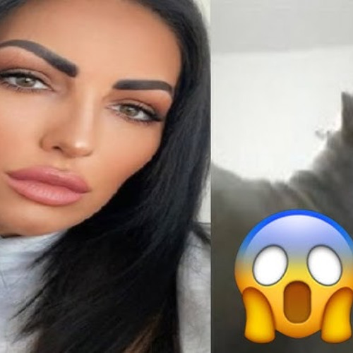 Stream Original Full new video Stephanie Watson Dog Glasgow Leaks ...