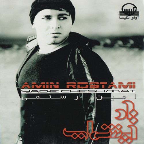 Stream Neshuni (Instrumental) by Amin Rostami | Listen online for free ...